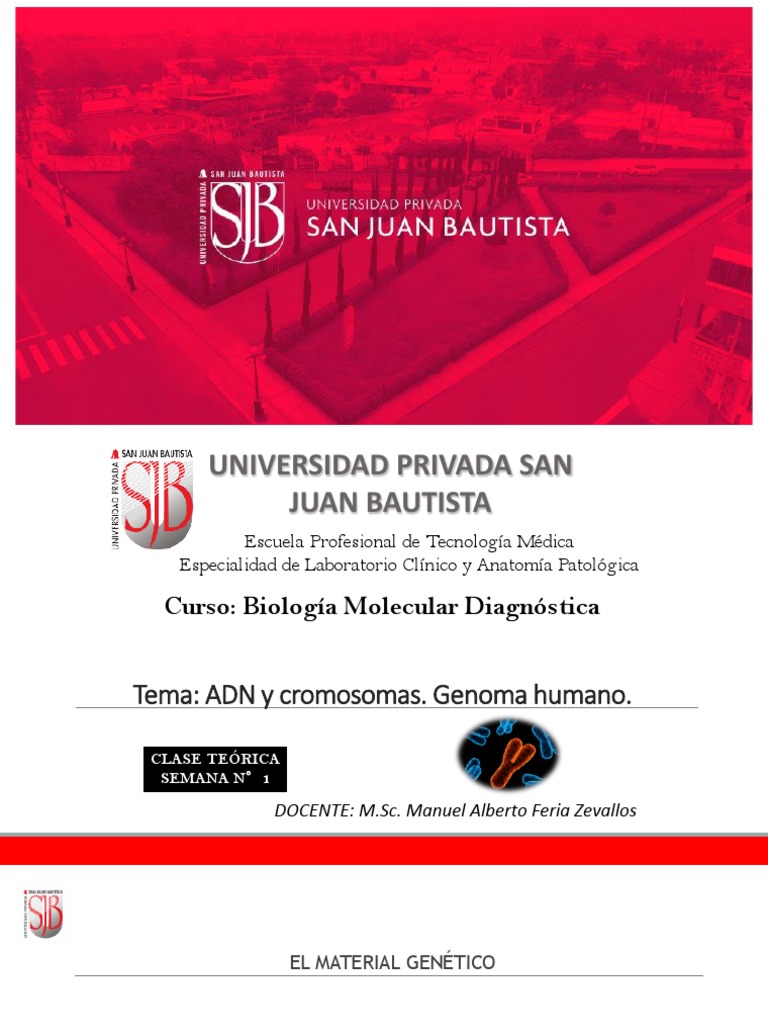Presentación1 Teoría | PDF | Adn | Cromosoma