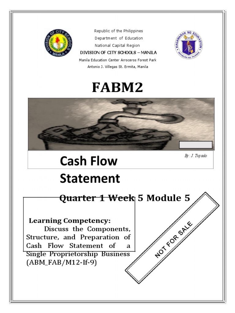 Fabm 2 Cash Flow | PDF