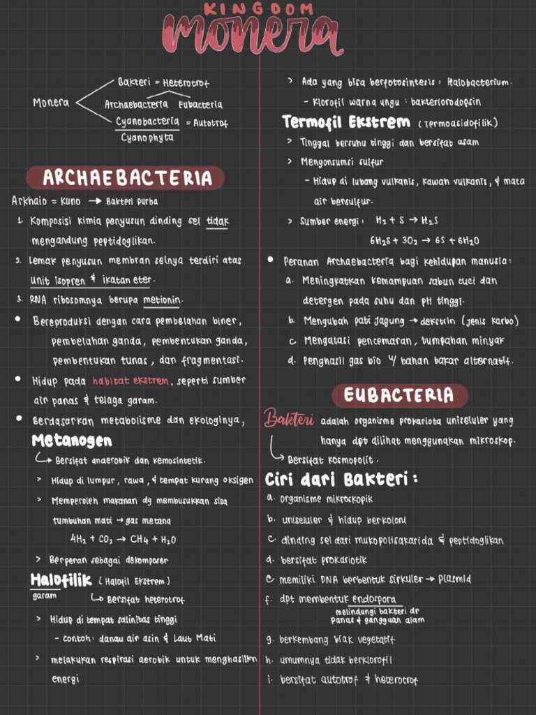 Kingdom Monera | PDF