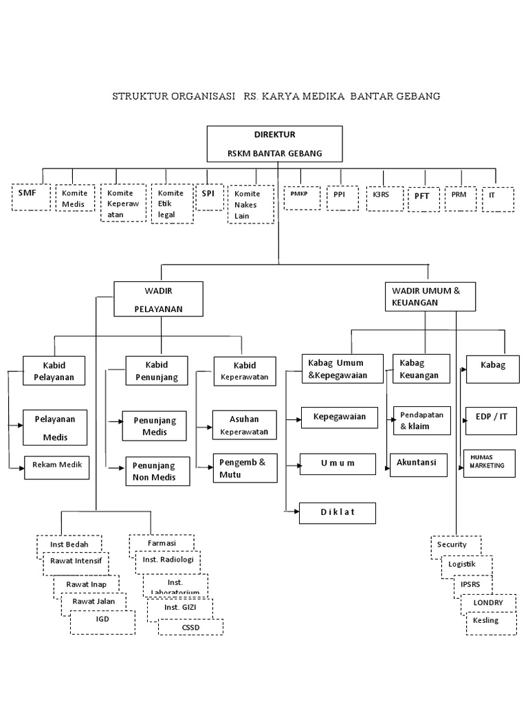 Struktur Organisasi RS Karya Medika | PDF