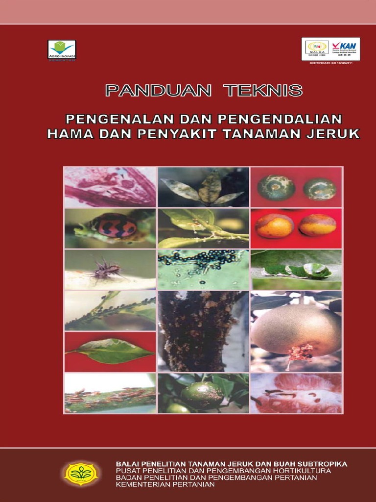 Panduan Hama & Penyakit Jeruk | PDF