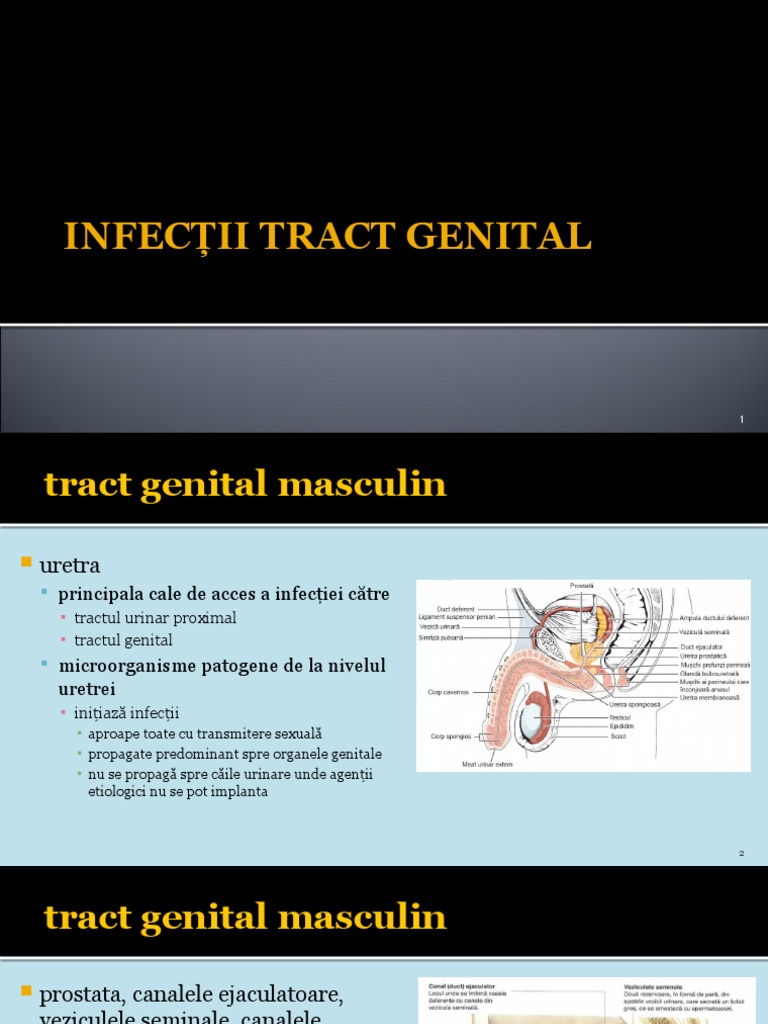 7 Infectii Tract Genital 2022 | PDF