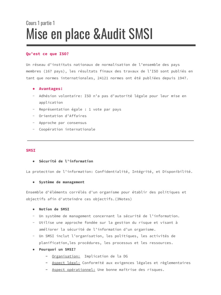 Resumé Audit SMSI | PDF