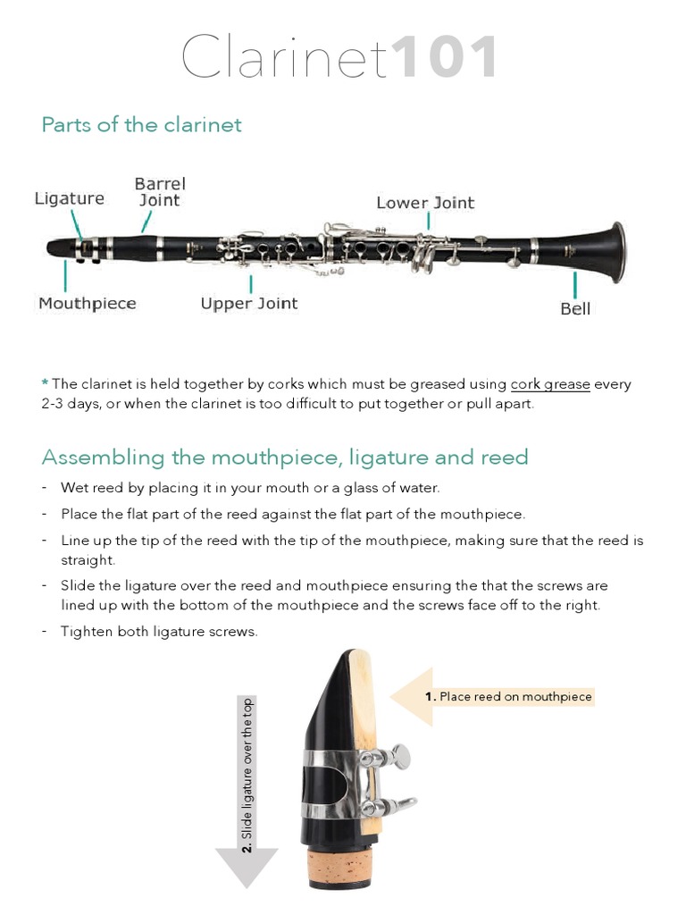 Clarinet 101 | PDF | Clarinet | Elementary Organology