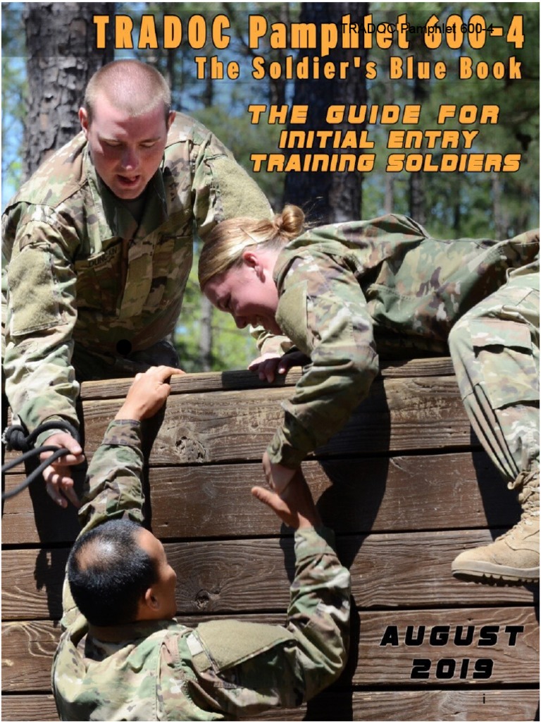 TP600 4 | PDF | Integrity | Military