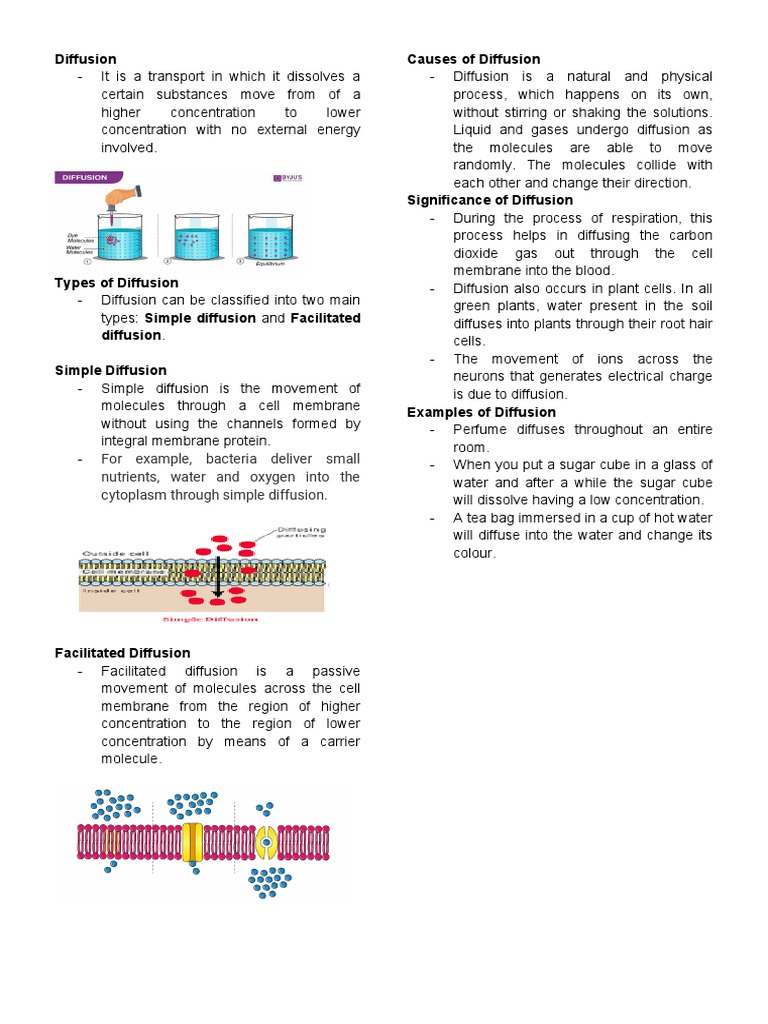 Diffusion and Osmosis | PDF | Osmosis | Diffusion