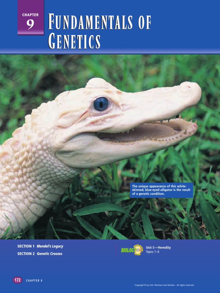 Fundamentals of Genetics | PDF | Genotype | Dominance (Genetics)