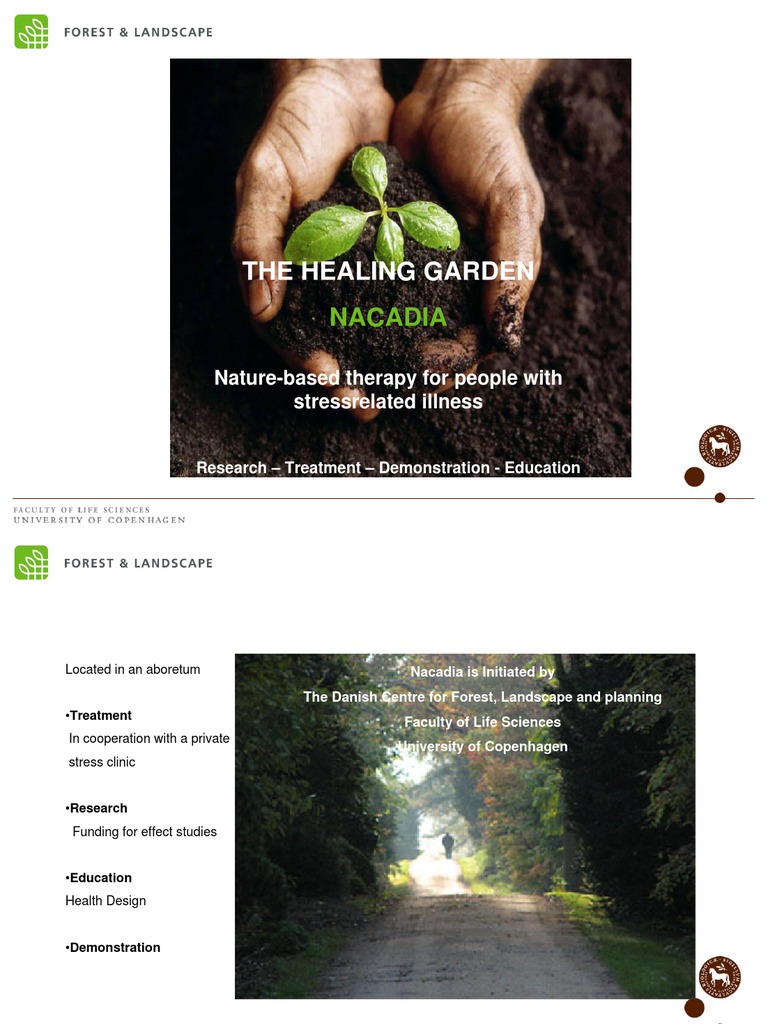 The Healing Garden: Nacadia | PDF | Career & Growth | Self-Improvement