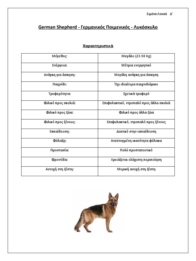 German Shepherd | PDF