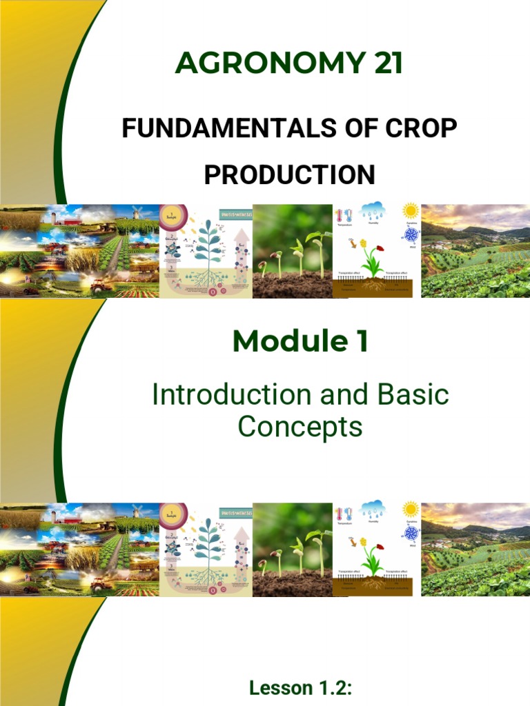 Economic vs. Biological Yields Explained | PDF | Soil | Light