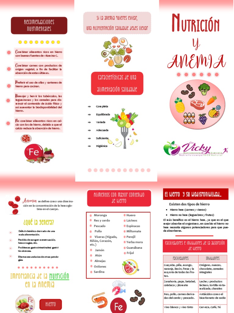 Dieta y Menú para Combatir la Anemia | PDF | Alimentos | Hierro
