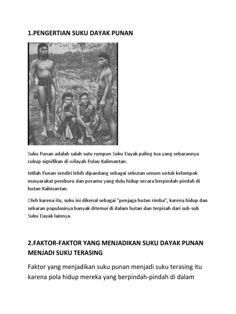 Suku Dayak Punan: Identitas dan Tantangan | PDF