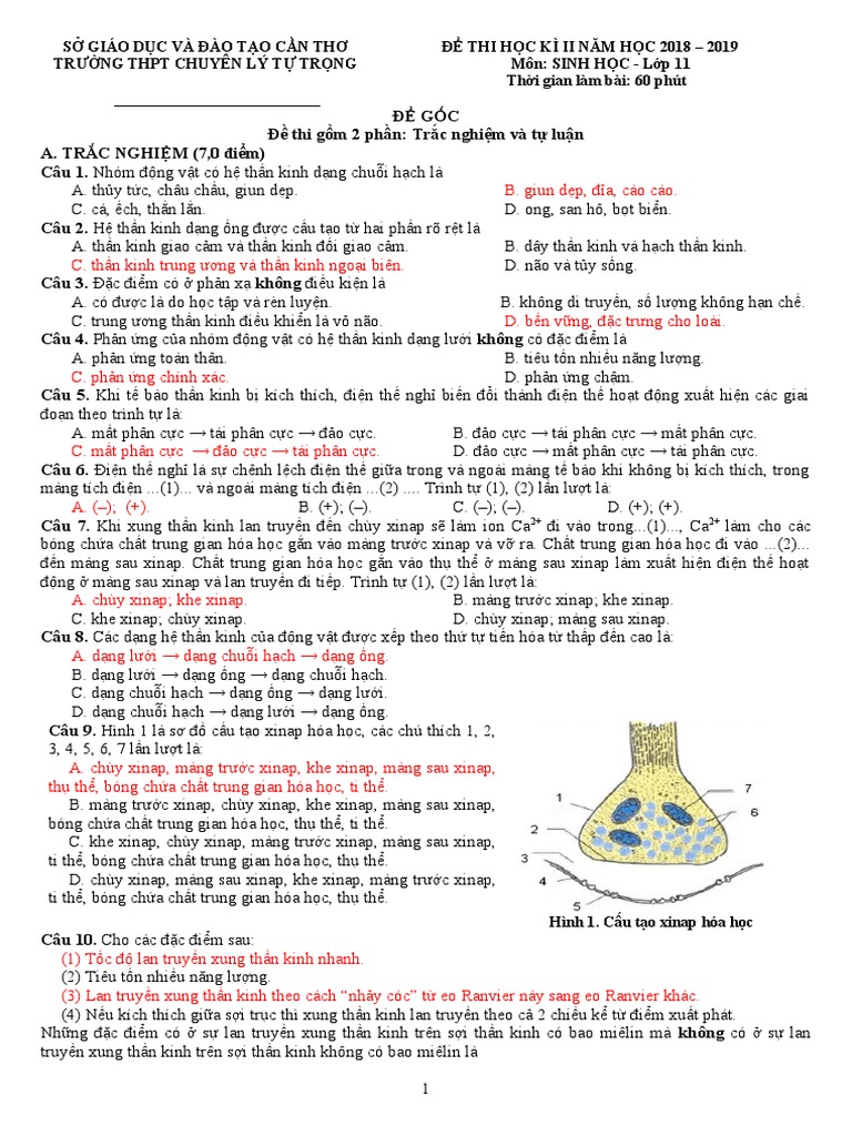 Sinhhoc11 HKII HS | PDF