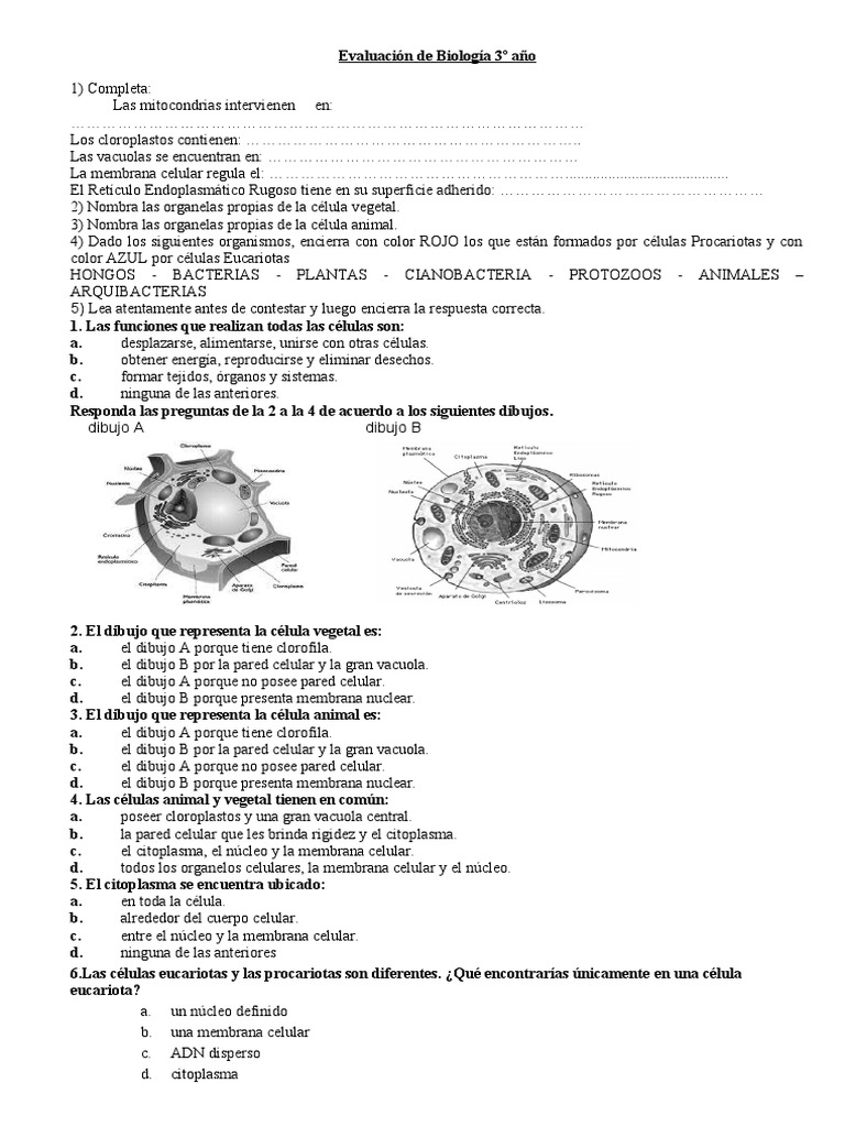 Eval. Célula | PDF | Biología Celular) | Plantas