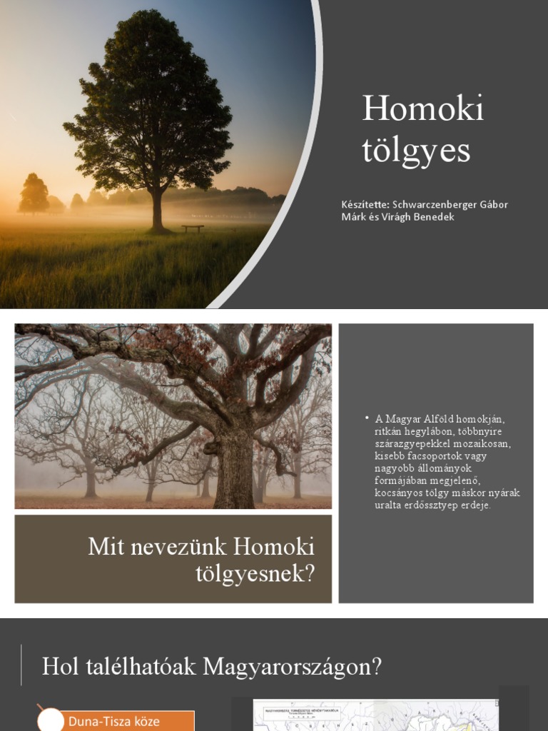 Homoki Letsgoo Biosz PPT Vegre Kesz | PDF