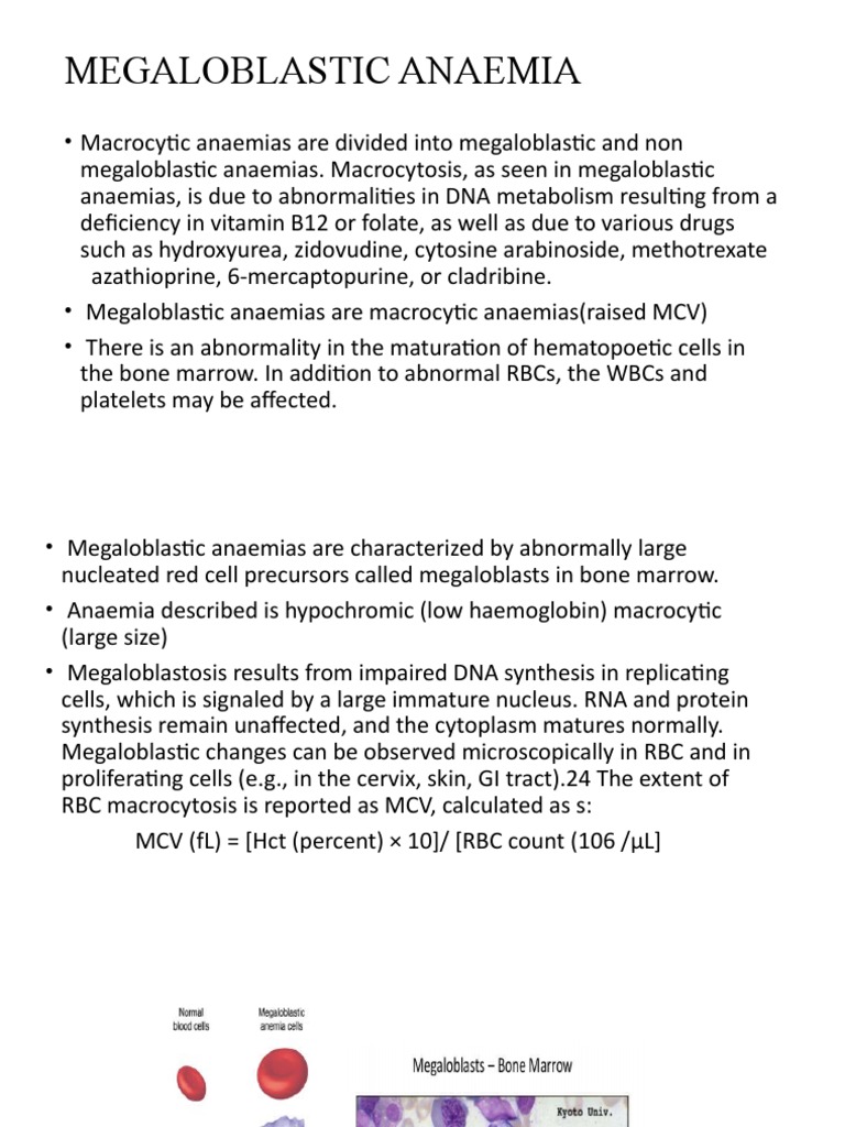 MEGALOBLASTIC ANAEMIA - pptxsdd.pptx.4 | PDF | Anemia | Vitamin B12