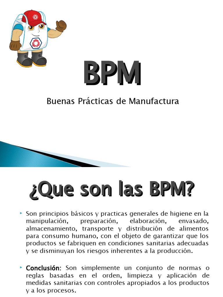 Presentacion BPM | PDF