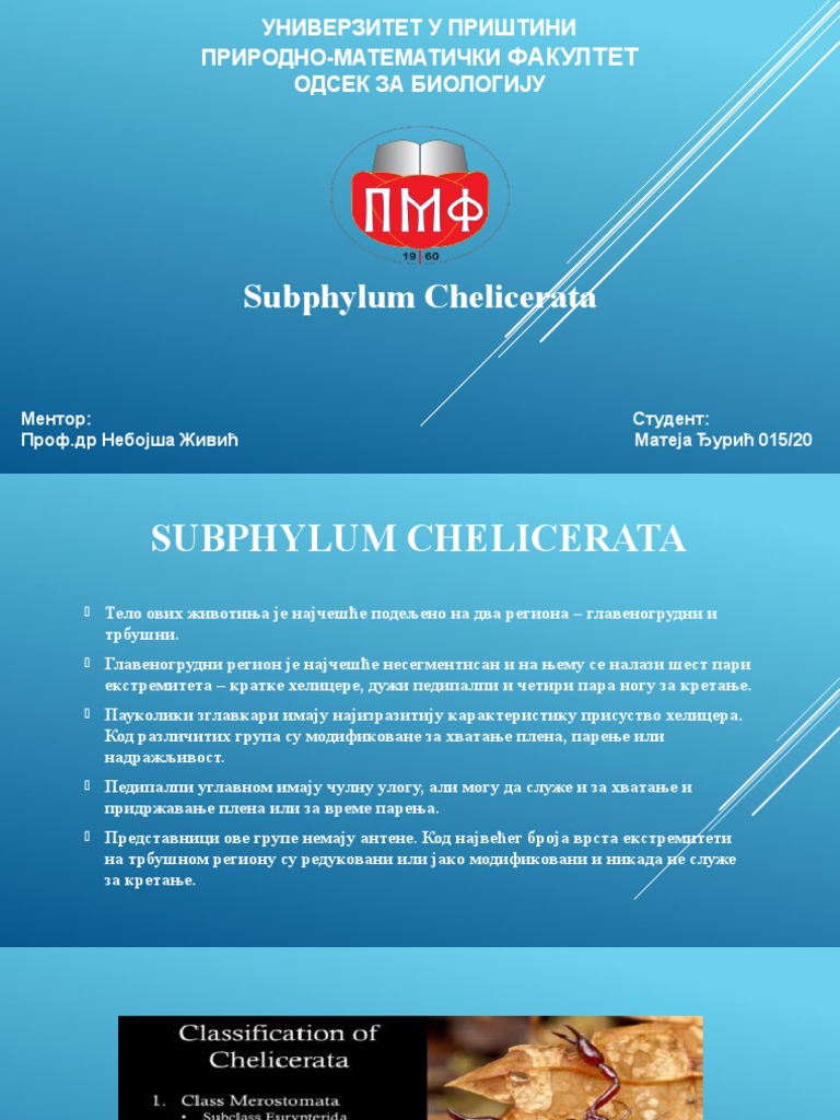 CHELICERATA | PDF