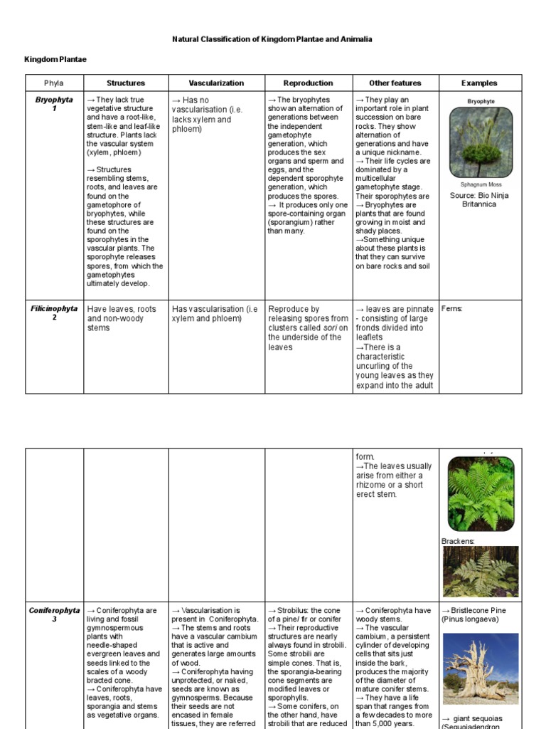 Natural Classification of Organisms Based On Criteria (2021) | PDF ...