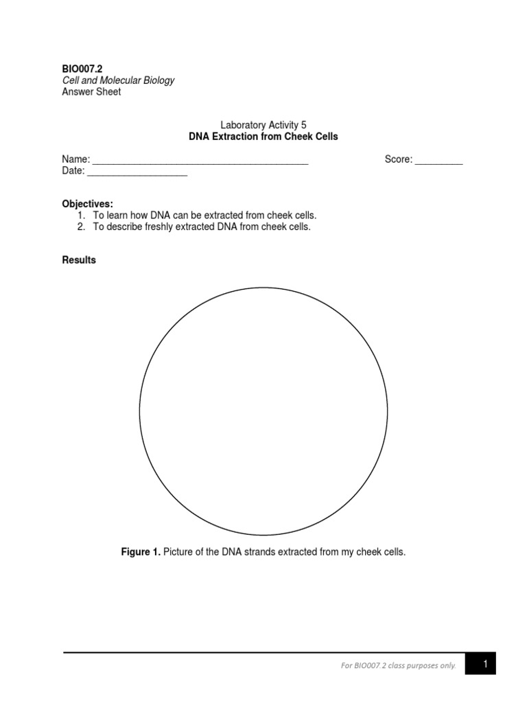 BIO007.2 Lab Act 5 Answer Sheet | PDF | Dna | Biotechnology