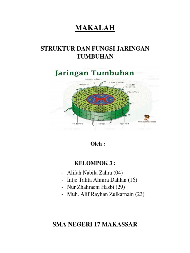 Makalah Biologi Kelompok 3 - Struktur Dan Fungsi Jaringan Tumbuhan-Dikonversi 2 | PDF | Sains ...