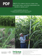 Ficha Técnica Del Pasto Marandú (Brachiaria Brizantha Cv. Marandú ...