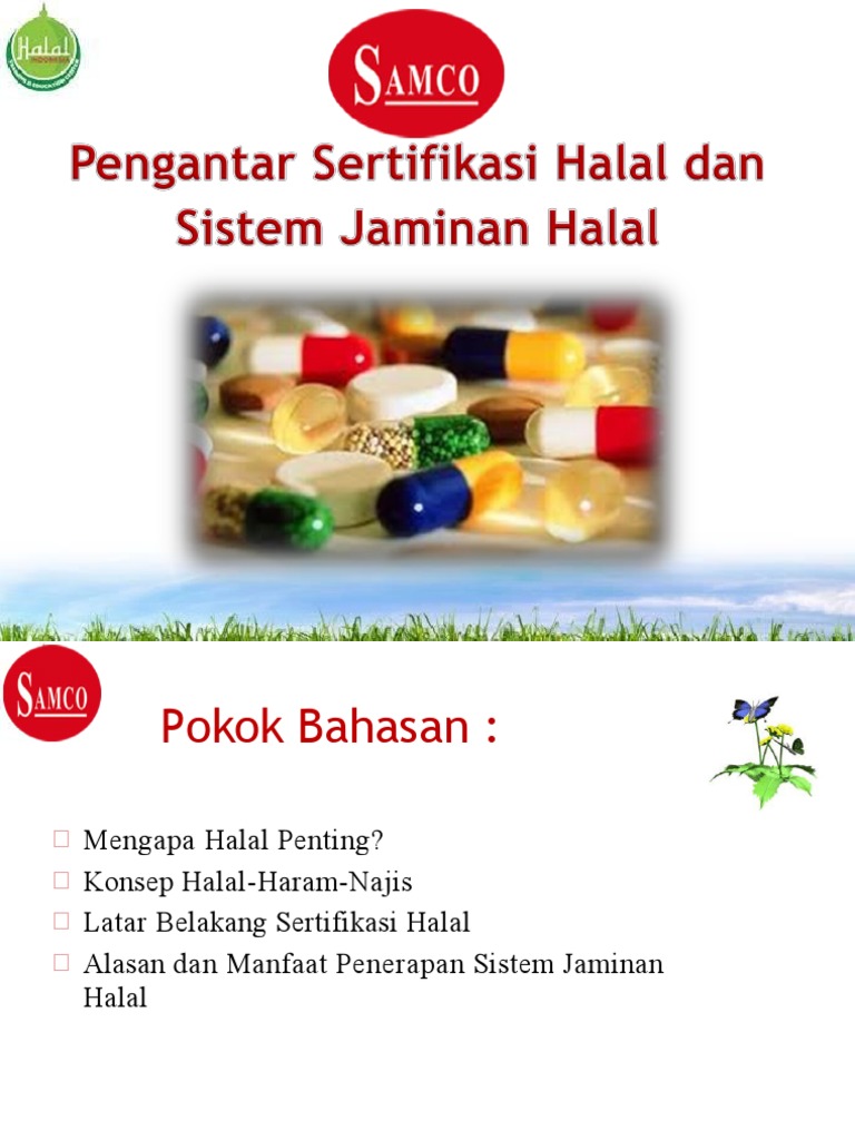 Materi Pelatihan Halal Samco 2 | PDF