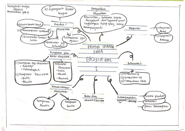 Mind Map Ekologi 4 - Kessy Putri Mulya - 22231112-Pendidikan IPA.E | PDF