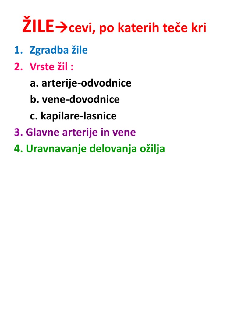 Krvne Žile | PDF