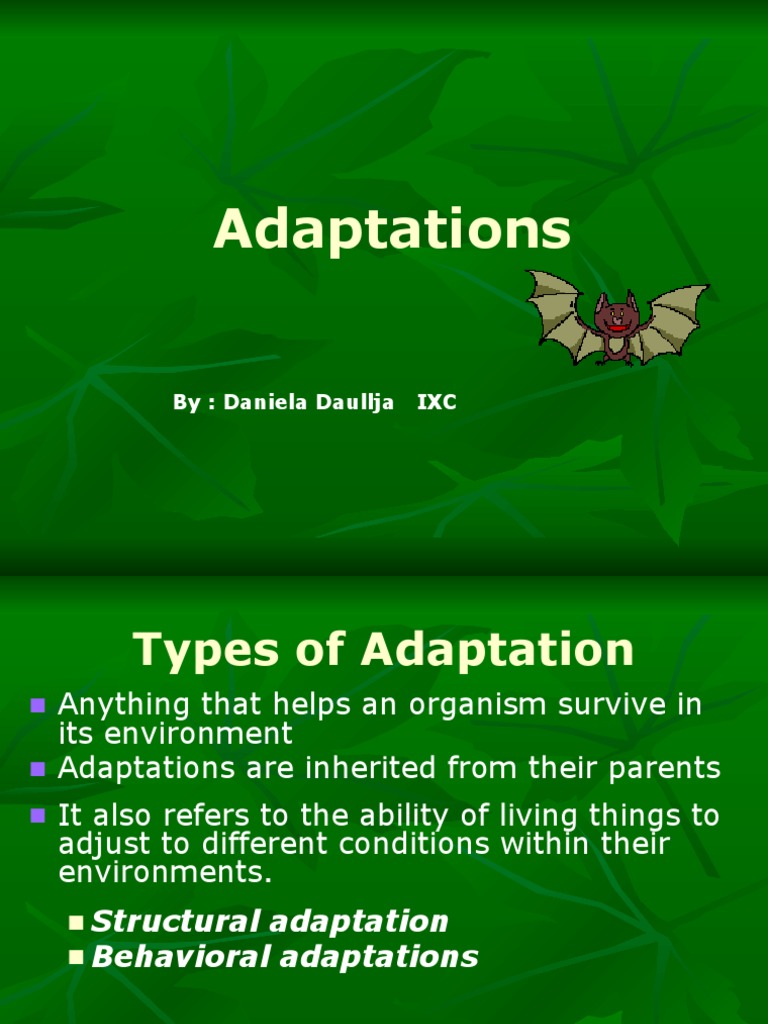 Animal Adaptations Biology | PDF | Adaptation | Predation