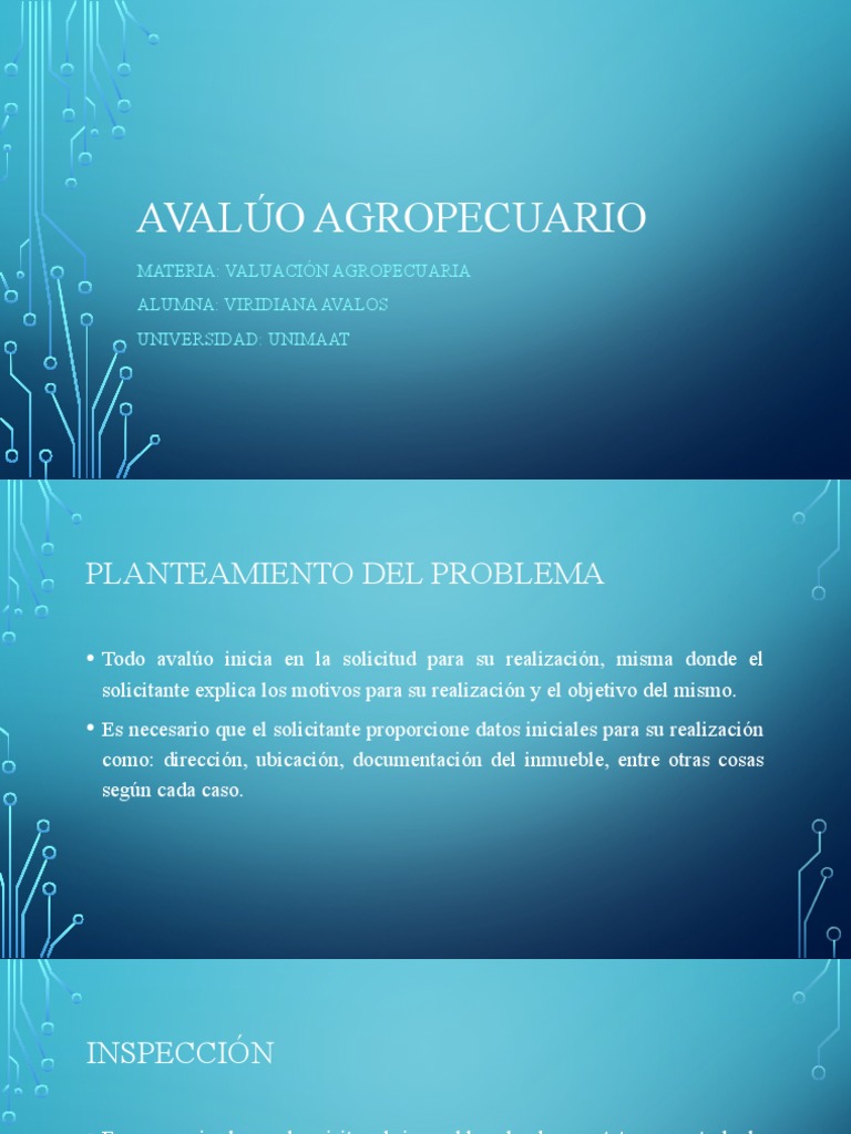 Avalúo Agropecuario | PDF | Propiedad