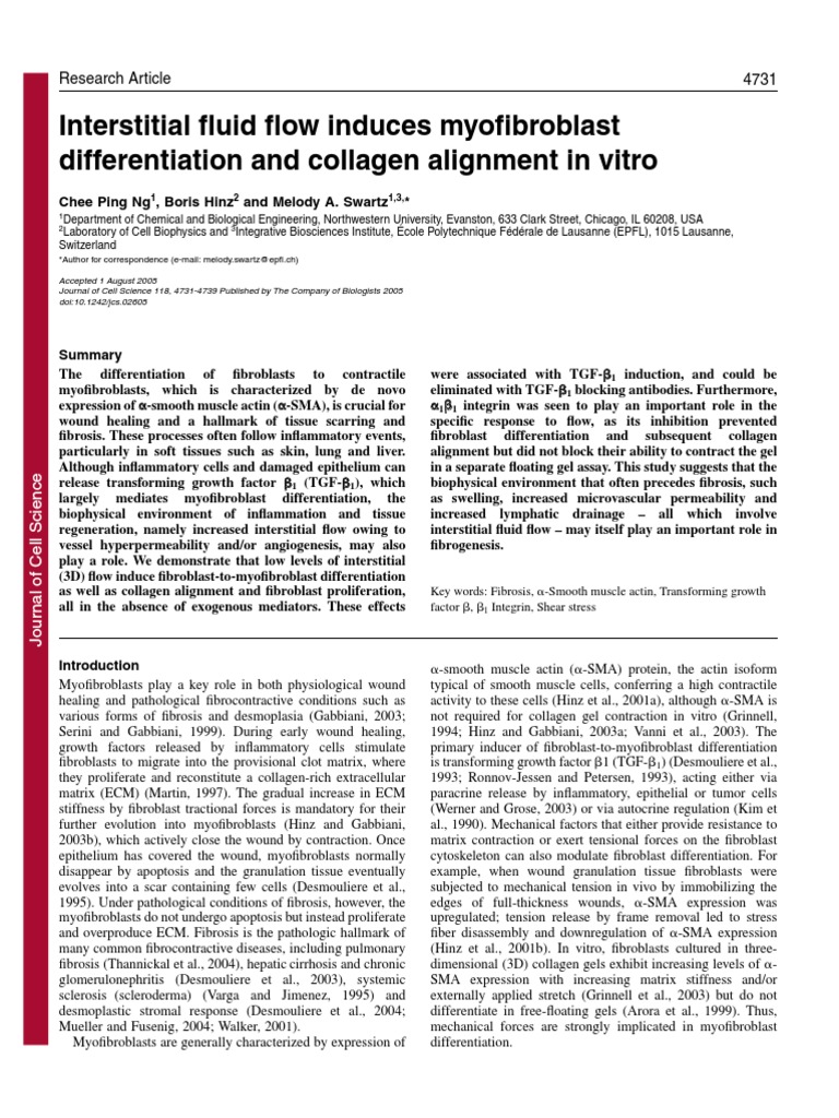 Interstitial Fluid Flow Induces Myofibroblast Differentiation and Collagen Alignment in Vitro ...