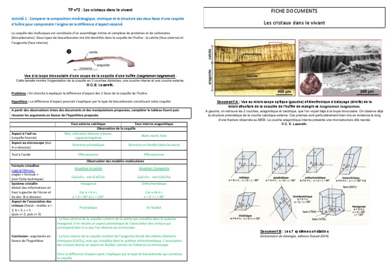 TP2 Cristaux Vivant - Correction | PDF | Structure cristalline | Cristal