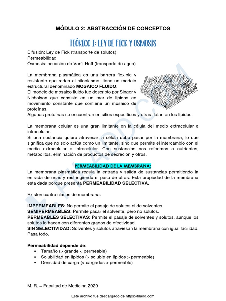 Abstraccion de Conceptos - Modulo II | PDF | Ósmosis | Potencial de membrana
