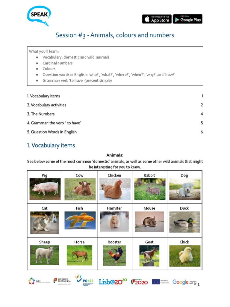 Session 03. Animals, Colours and Numbers | PDF | Chicken | English Language