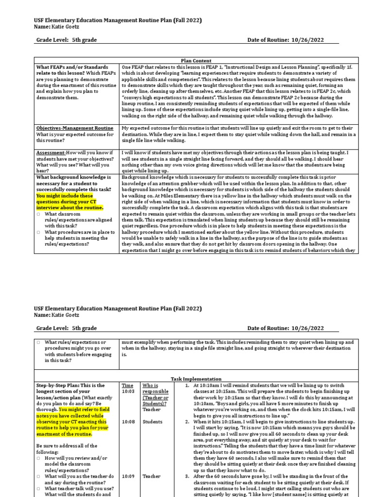 Katie Goetz Line Lesson Plan | PDF | Classroom | Lesson Plan