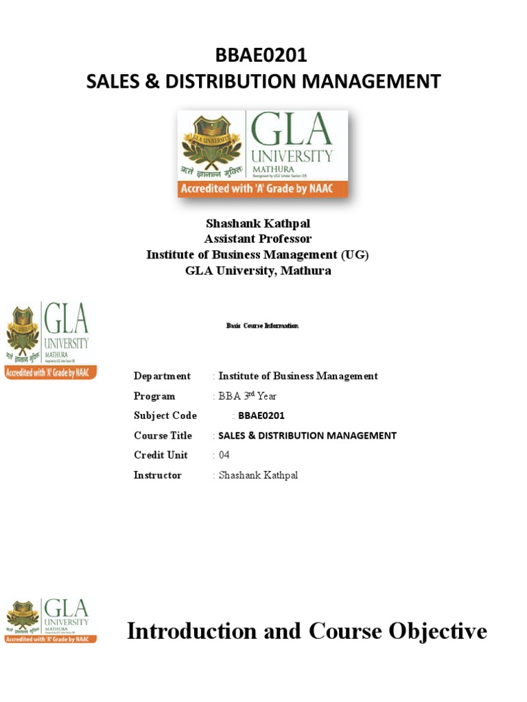 Introduction to SDM | PDF | Sales | Marketing