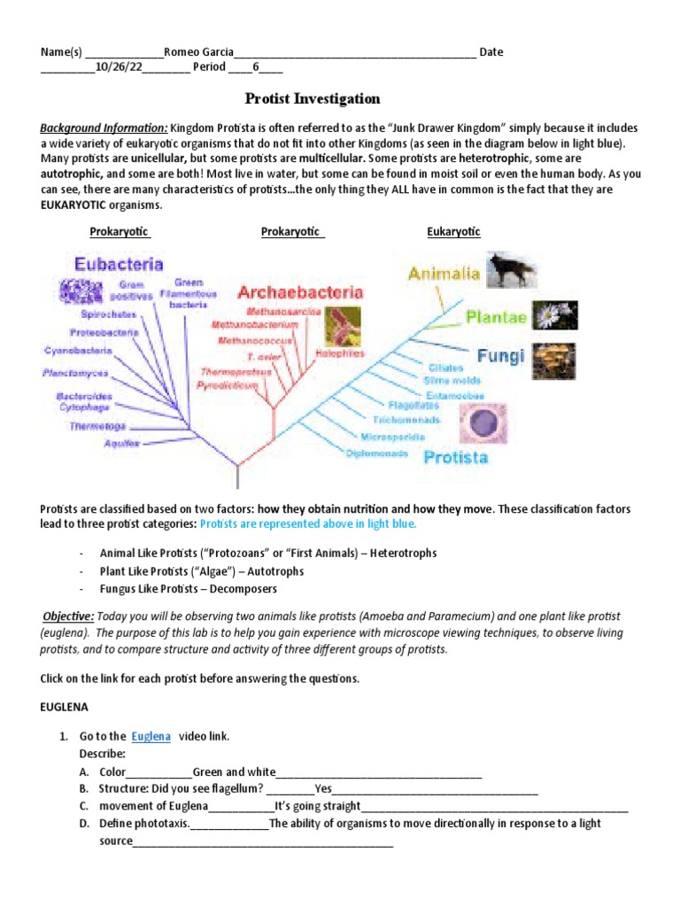 Protist Lab for Biology Students | PDF | Organisms | Biology
