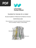 Plexo Lumbar - Anatomía, Ramos e Inervación - Kenhub | PDF ...