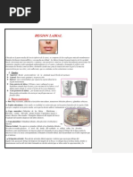 Anatomía y Fisiología de Los Labios. | PDF | Labio | Piel