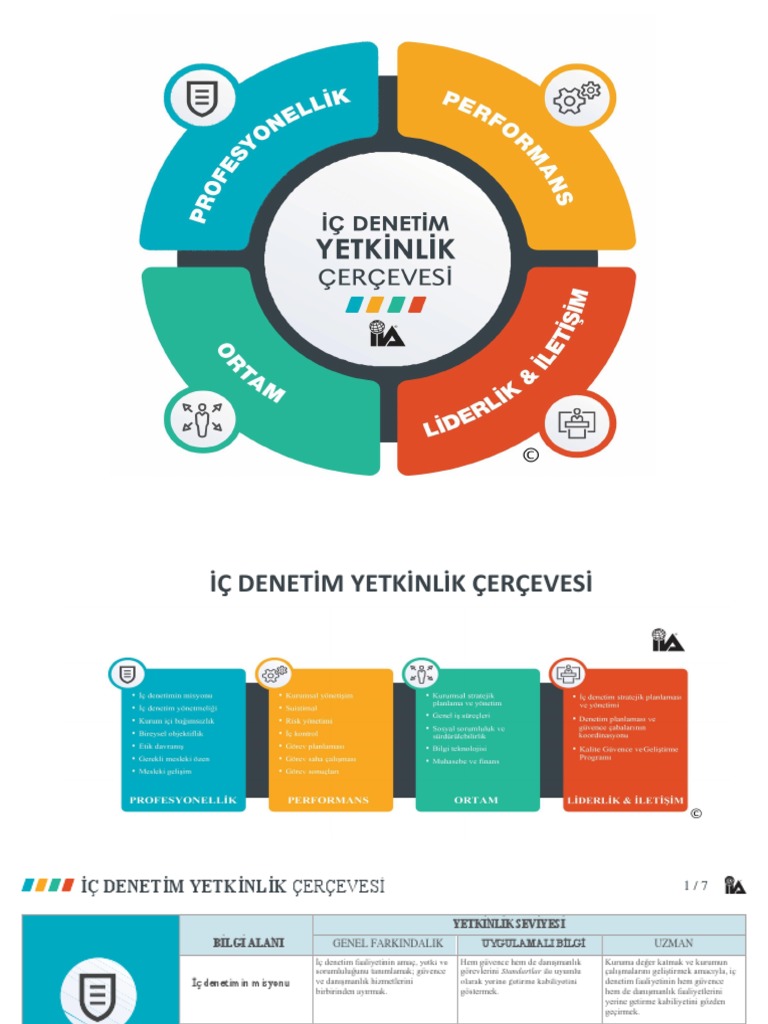 Internal Audit Competency Framework Turkish | PDF