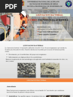 QUIMIOTROFOS | PDF | Sustancias químicas | Biología