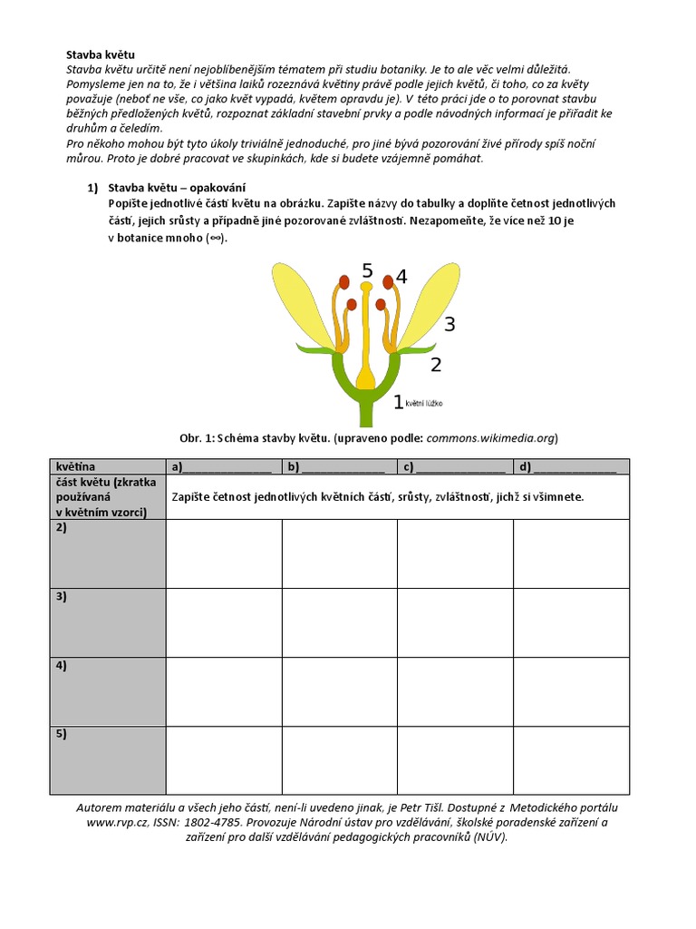 Stavba-Kvetu Final | PDF