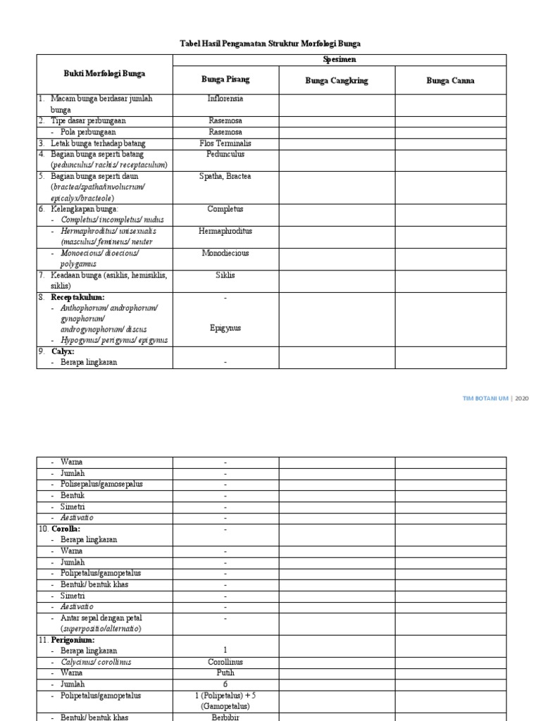 Tabel Pengamatan Struktur Morfologi Bunga | PDF