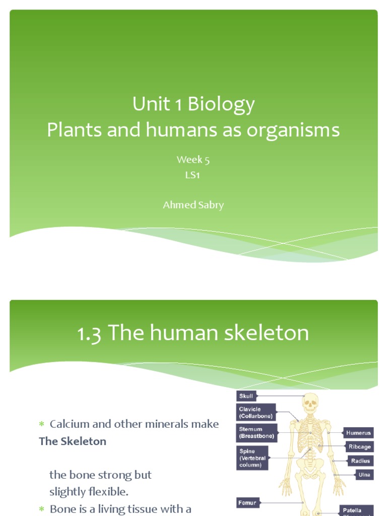 Science Year 7 Cambridge Presentation Powerpoint Unit 1 Part 2 | PDF | Skeleton | Bone