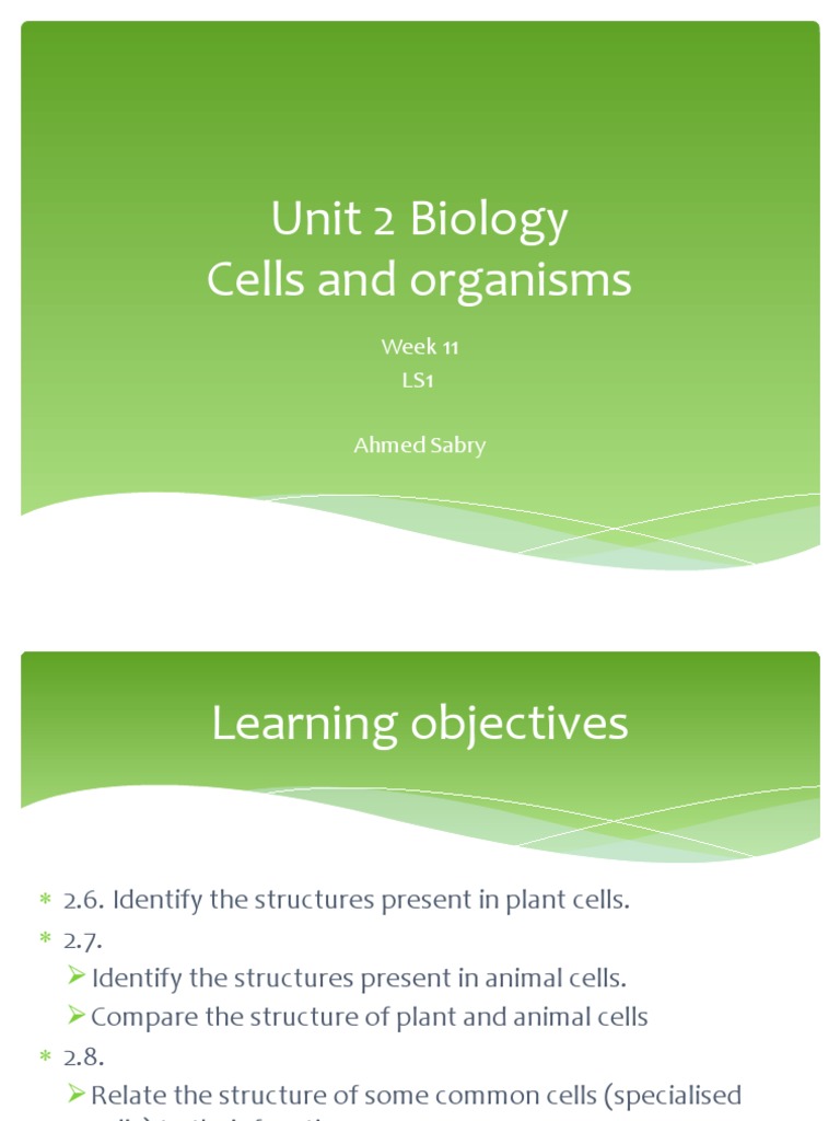 Science Year 7 Cambridge Presentation Powerpoint Unit 2 Part 2 | PDF