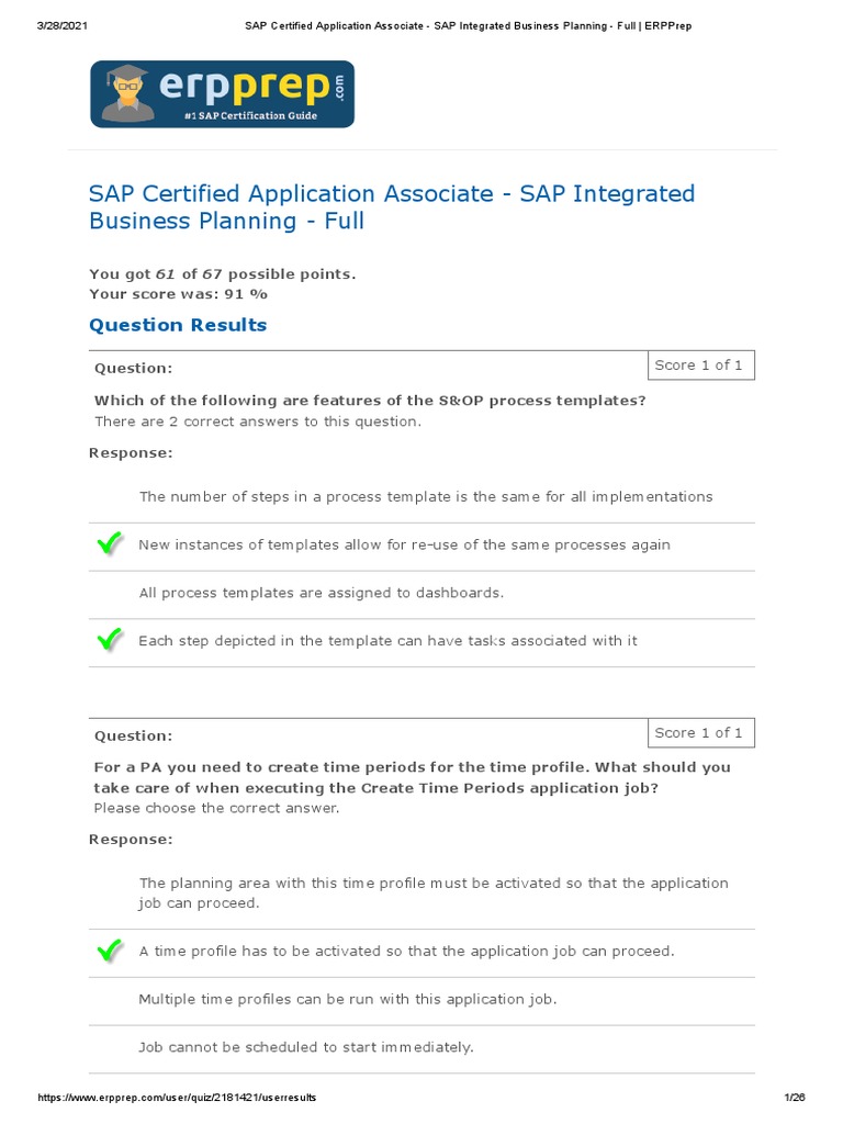 IBP1 | PDF | Microsoft Excel | Application Software