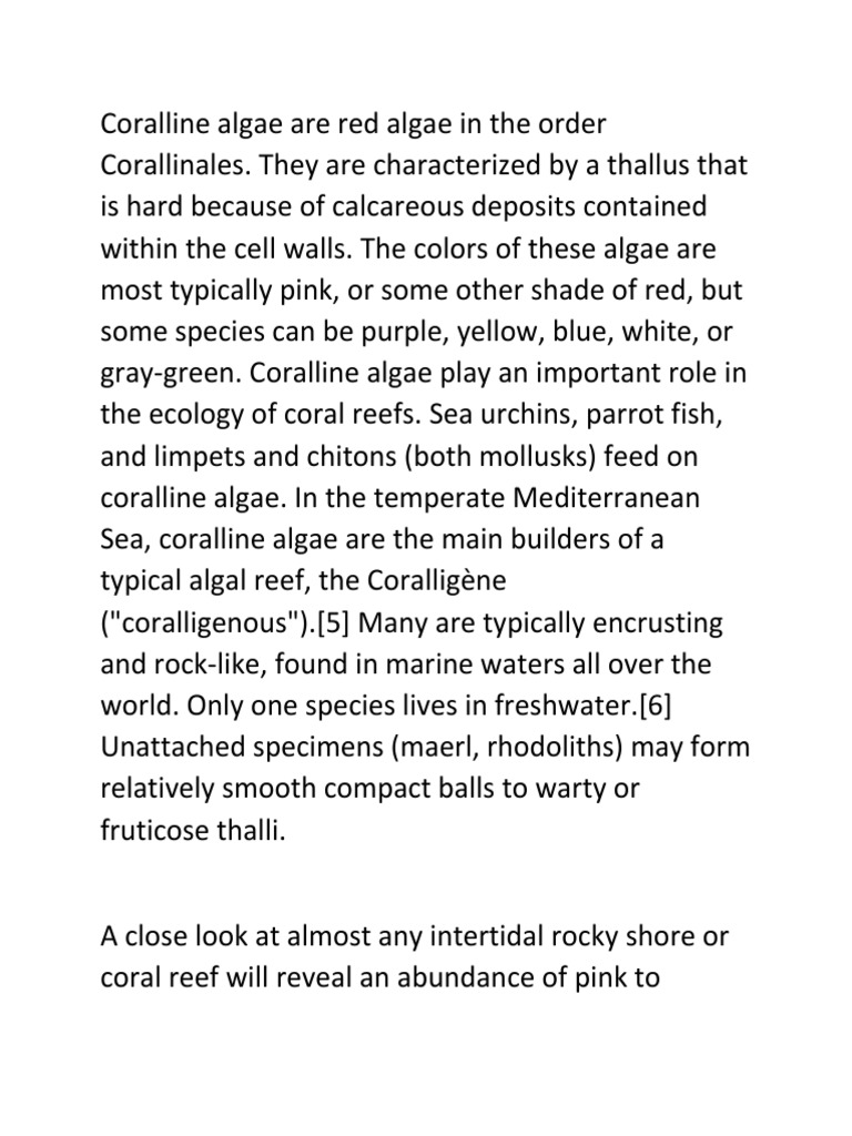 Coralline Algae Are Red Algae in The Order Corallinales | PDF | Science ...