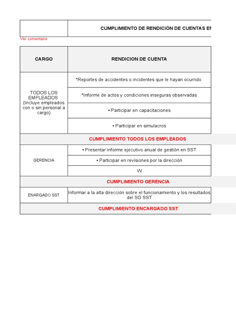 Formato - Rendicion de Cuentas | PDF