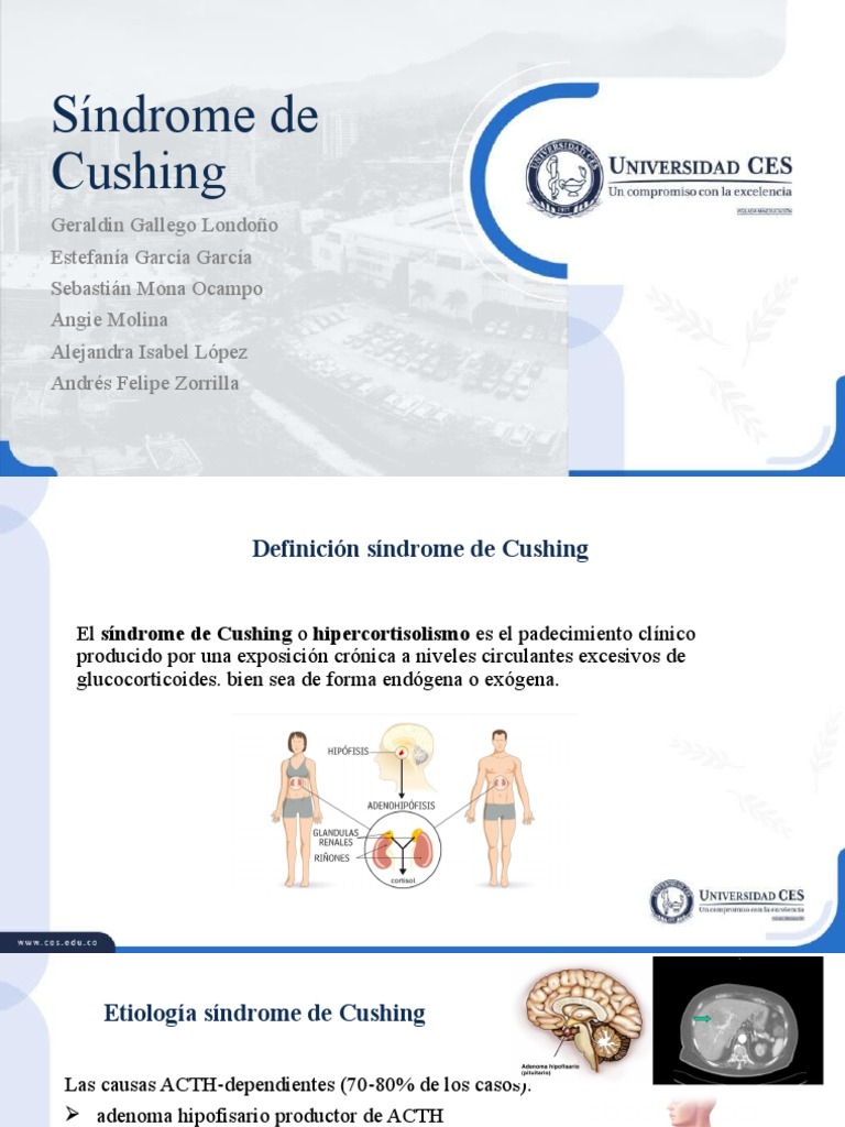 Sindrome de Cushing | PDF | Hormona adrenocorticotrópica | Medicina CLINICA